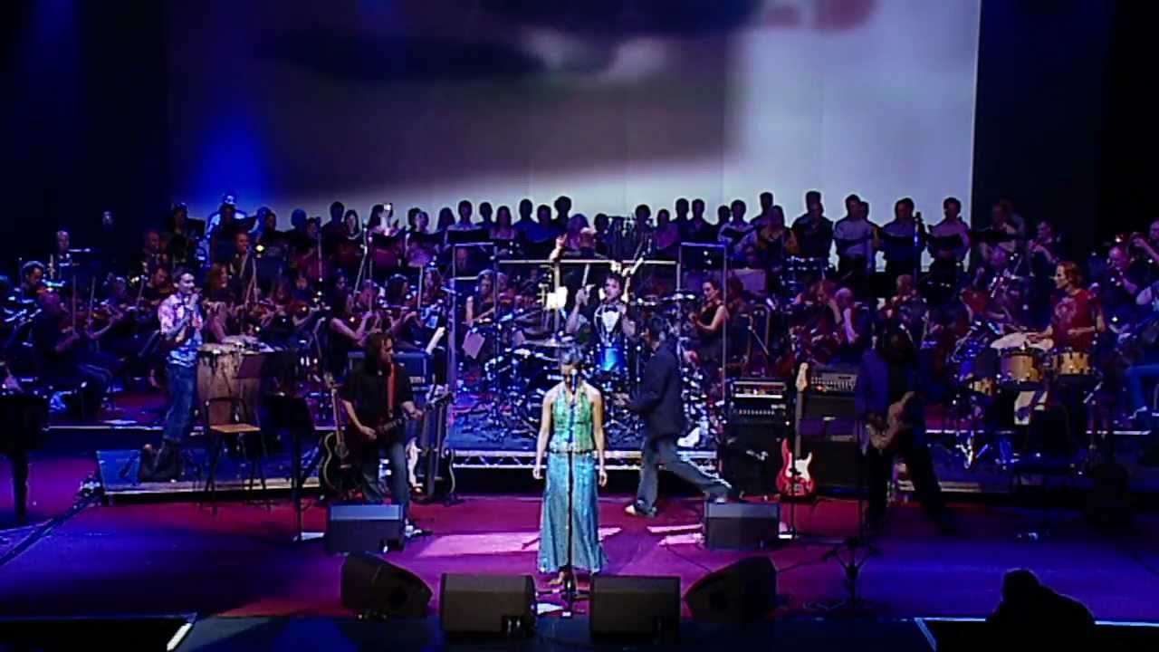 Live Concerts, theatre show multi camera set up by Animal Tracks ...