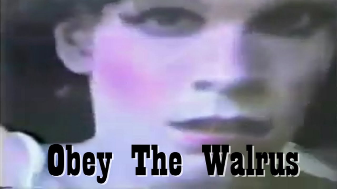 Why "Obey The Walrus" Is More Sad Than Scary - YouTube