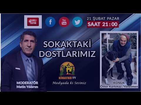 Sokakta Yaşam Mücadelesi Veren Masum Can Dostlarımız