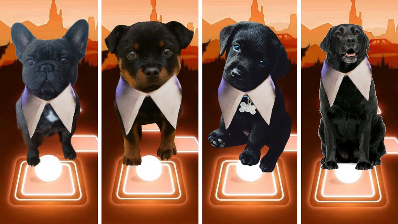 Wednesday Addams Dog Battle | Tiles Hop EDM Rush - YouTube