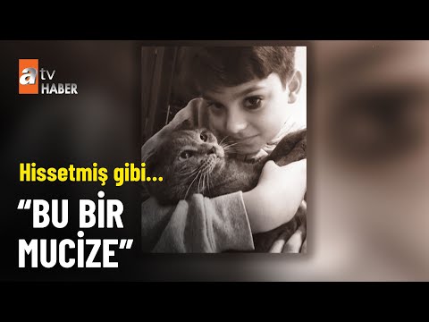 ÖZEL HABER – Mattia Ahmet Minguzzi’in kedisi ‘Pandi’ evine döndü  - atv Ana Haber 20 Şubat 2025