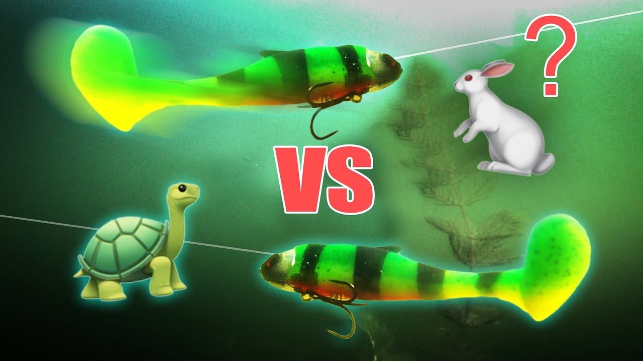 PIKE FISHING: Ultra Fast vs Slow Retrive 🐢🐇 (UNEXPECTED RESULT!) - YouTube