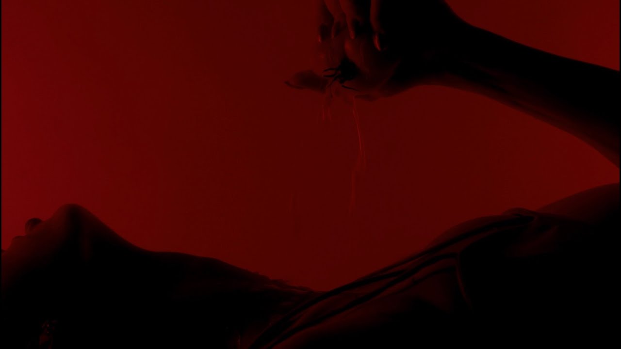 LUKA NIŽETIĆ - MANISTRA NA POME (official video) - YouTube