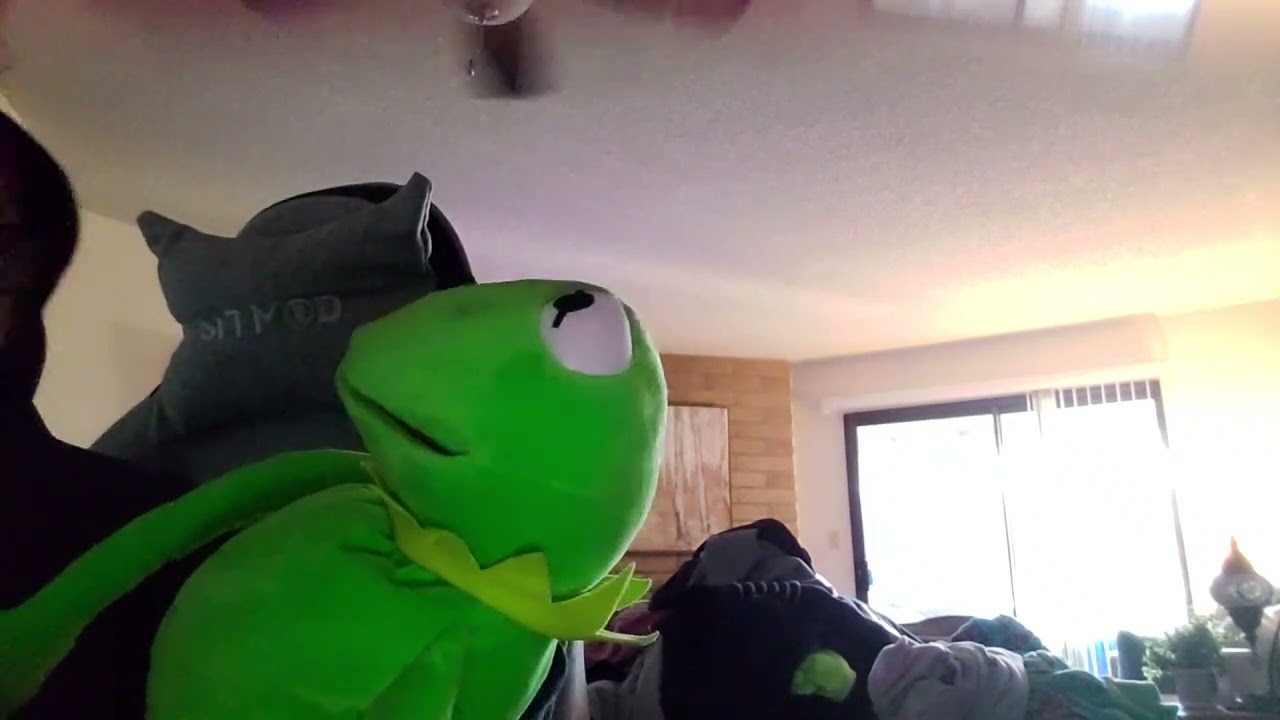 kermit - YouTube