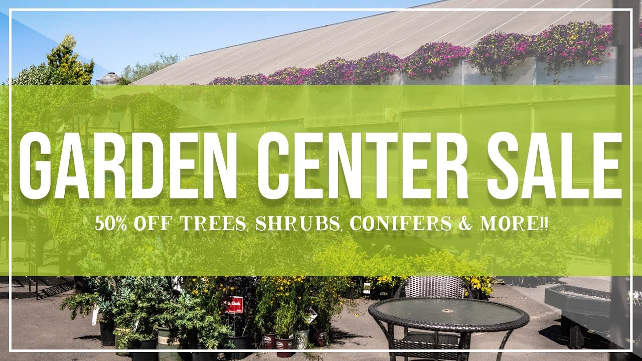 Garden Center Sale | Trees, Shrubs Conifers & More!! - YouTube