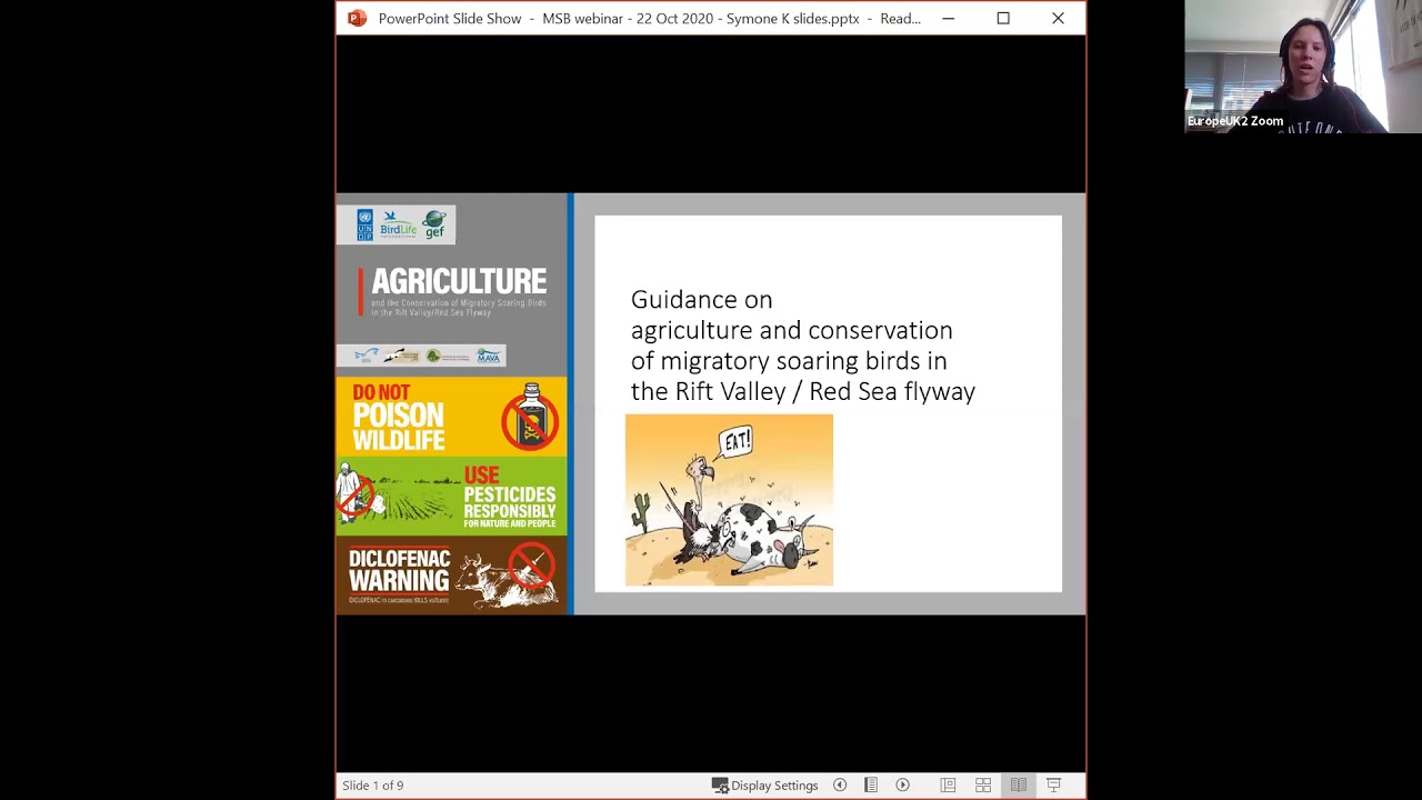 Agriculture and Conservation of Migratory Soaring Birds in the Rift ...