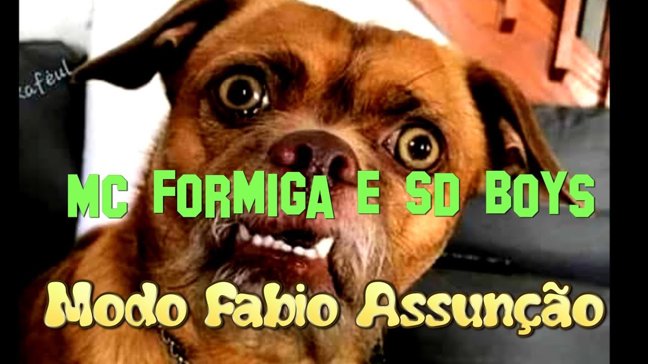 Mc Formiga e SD Boys Modo Fabio Assunção - YouTube Music
