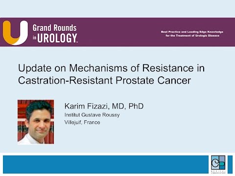Update on Mechanisms of Resistance in Castration-Resistant Prostate Cancer