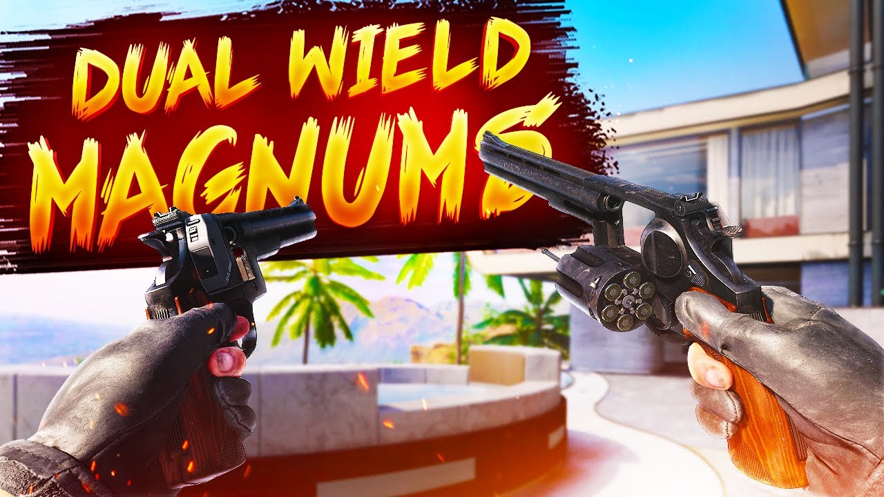 dual wielding magnums are nutty - YouTube