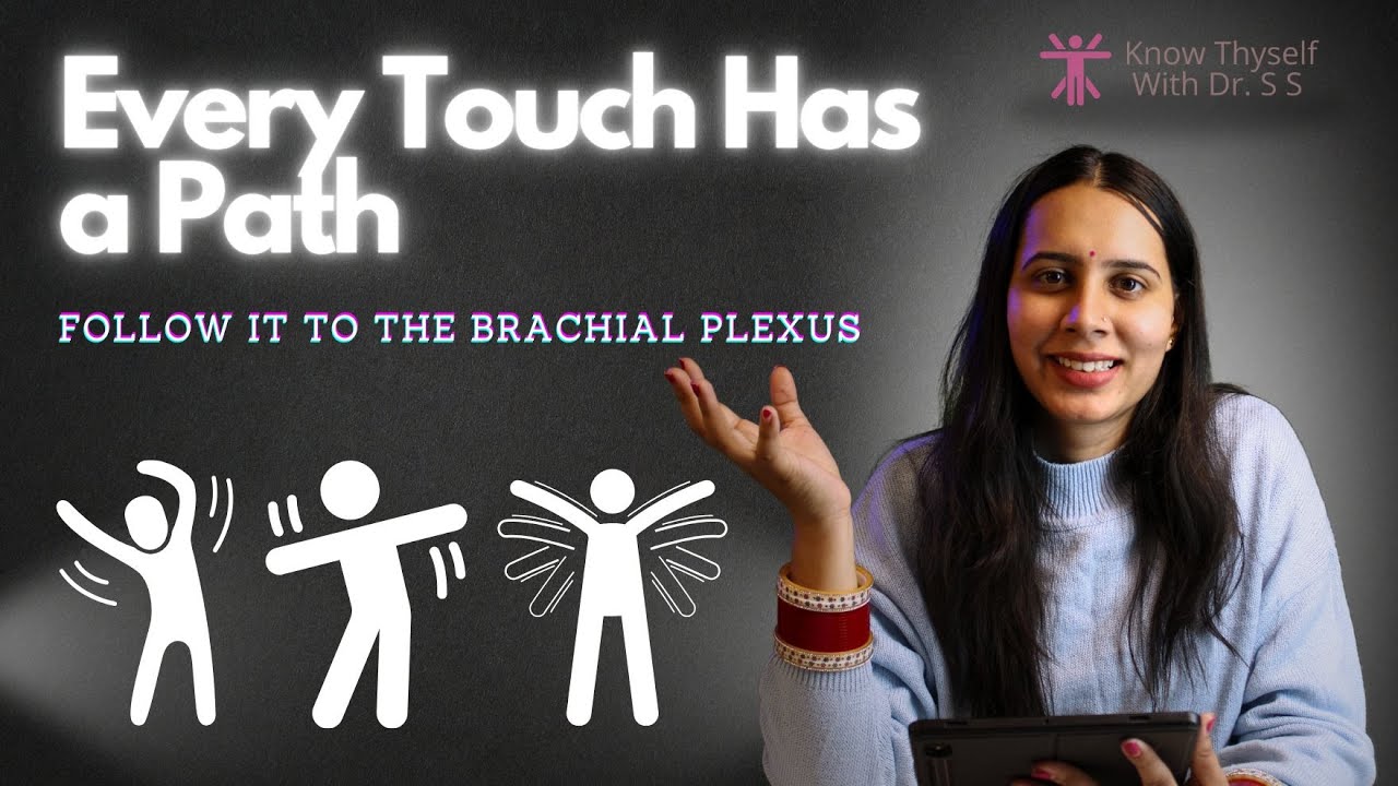 Brachial Plexus Made Ridiculously Simple | Clear Diagram + Easy ...