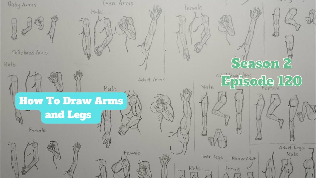 How To Draw Arms and Legs S.2 #120 - YouTube