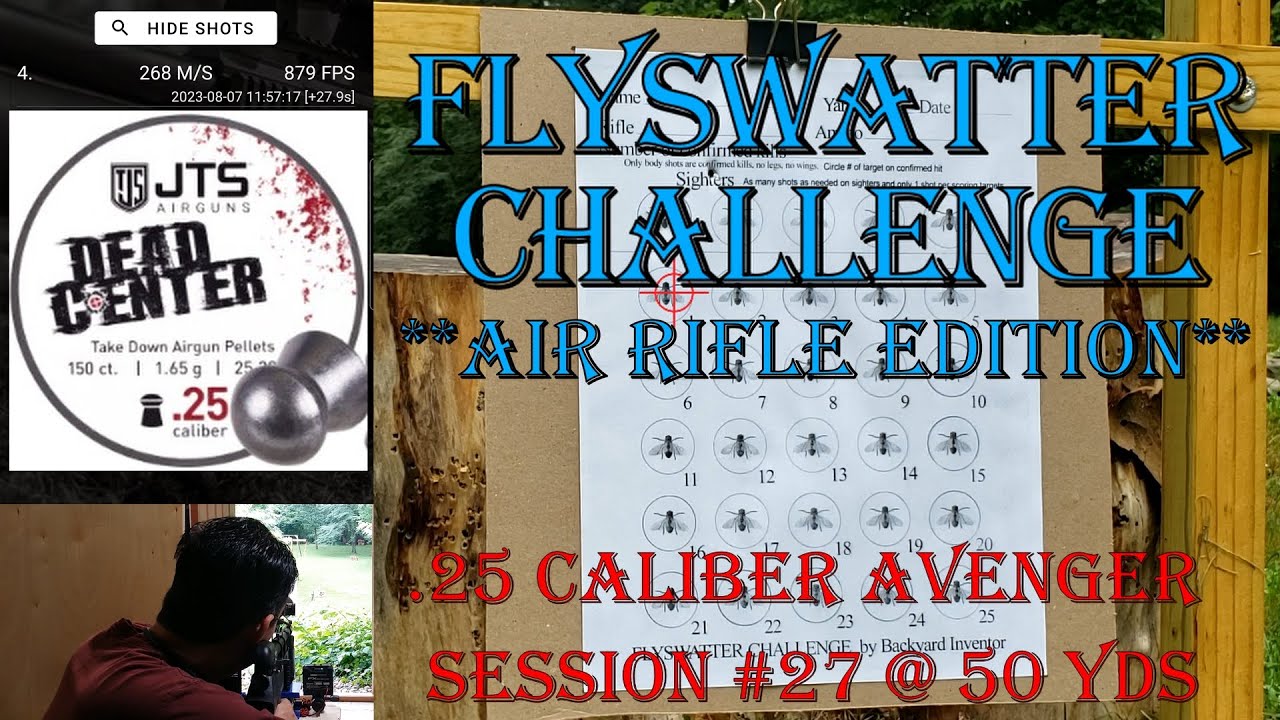 FLYSWATTER CHALLENGE (DAYATTHERANGE), AIR RIFLE EDITION! | .25 Avenger BP - YouTube