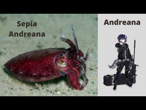 Arknights Operators and the animals/ mythical creatures they are based ...