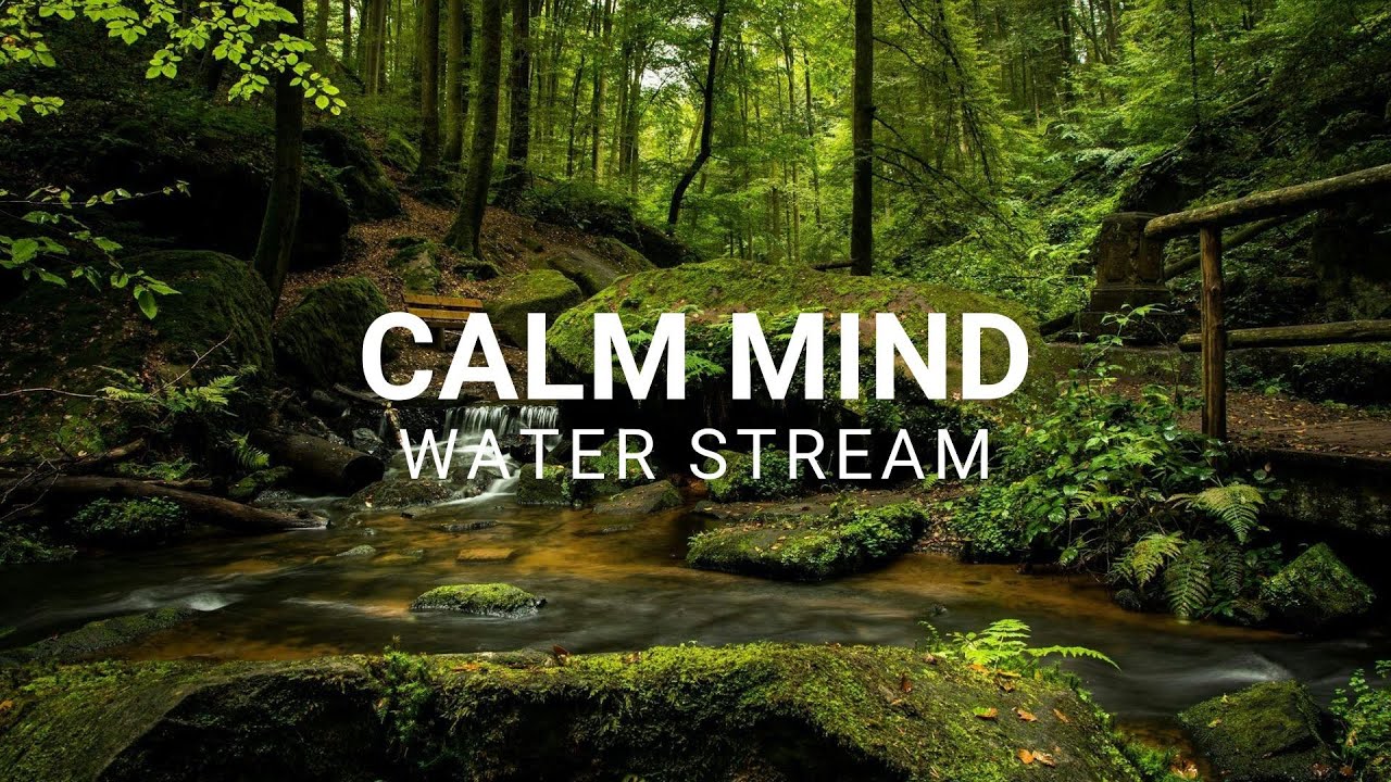 Reduce Stress, Anxiety and Depression with Calming Water Stream Sounds ...