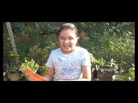 Rock Paper Scissors Slap Challenge - YouTube