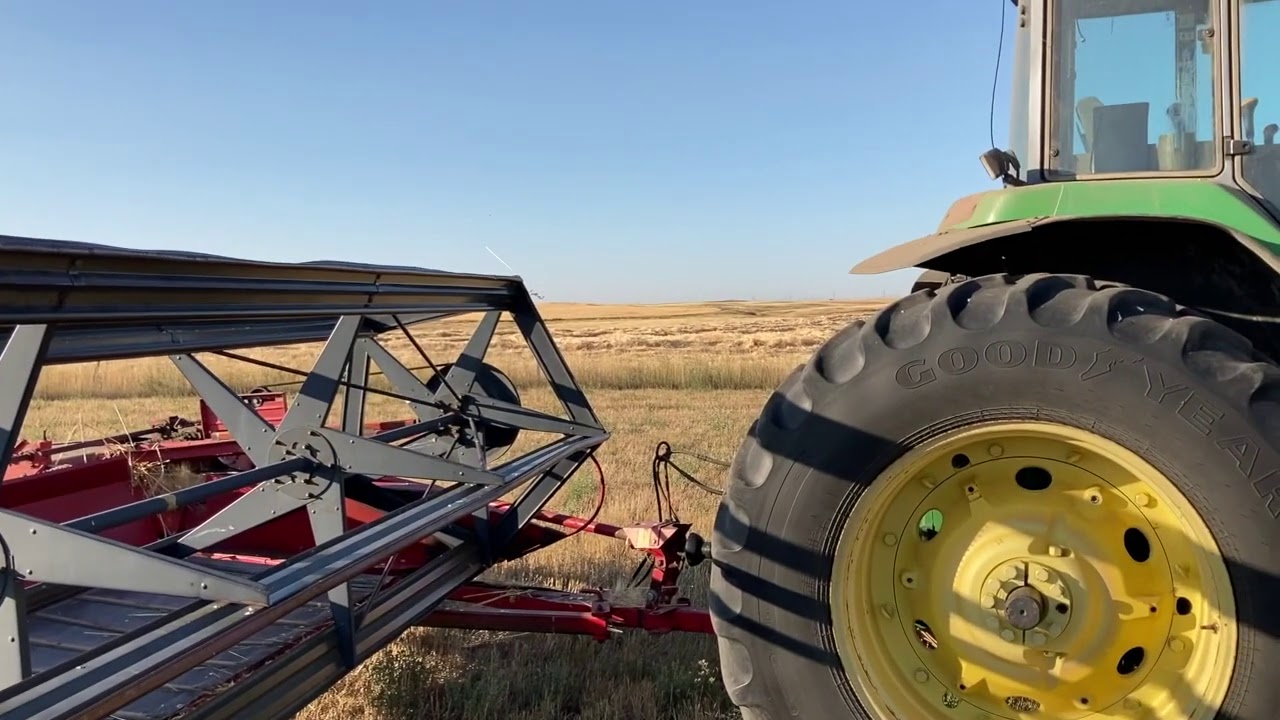 Swathing 2020. Barley, Wheat and Oats. Glen explains the process. - YouTube