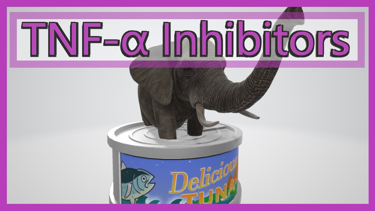 TNF-alpha Inhibitors (Mnemonic) - YouTube