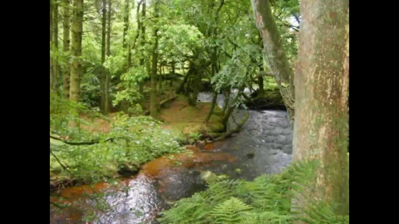 Energetic Super Nature 1 Human energy field. Part 3 - YouTube