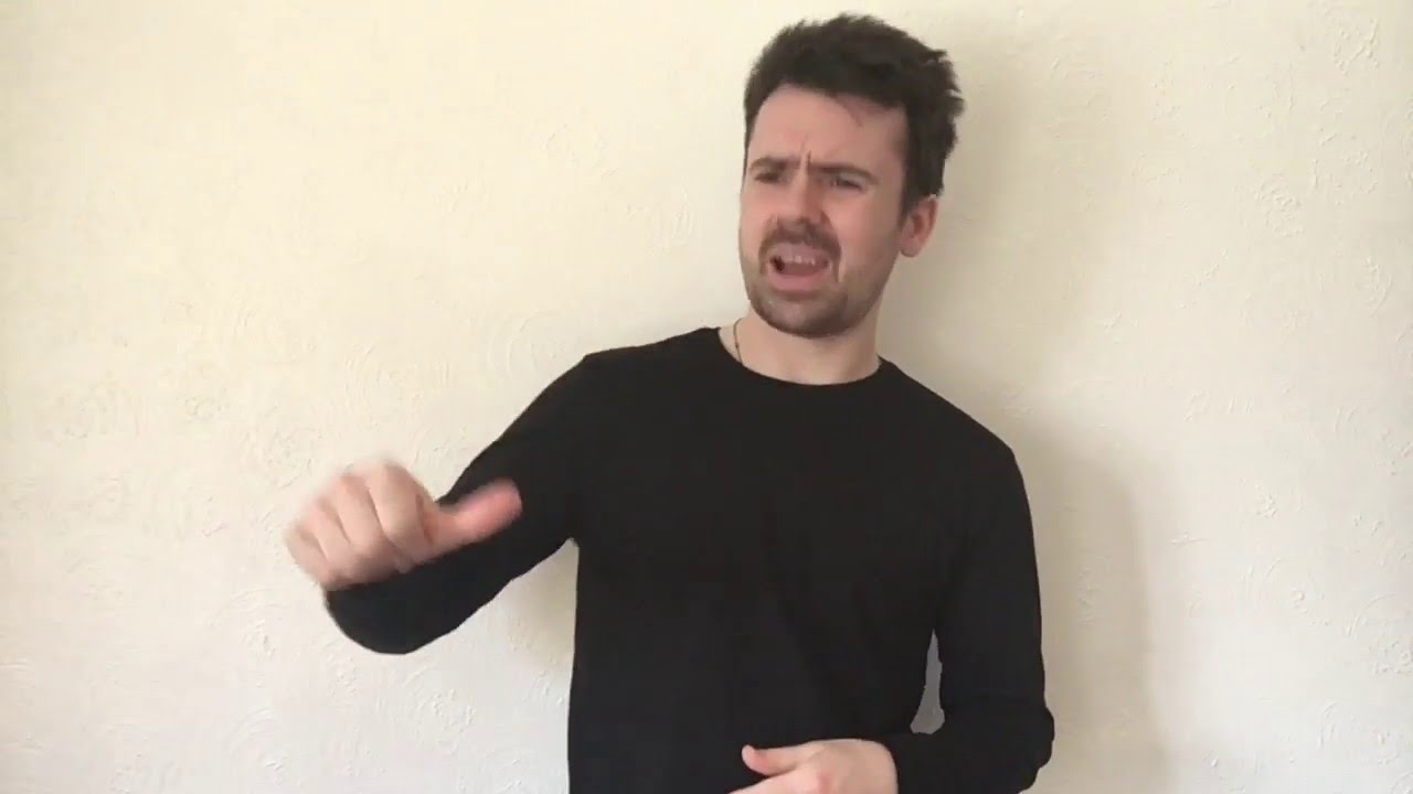 BSL Songs- Foxes- Body Talk - YouTube