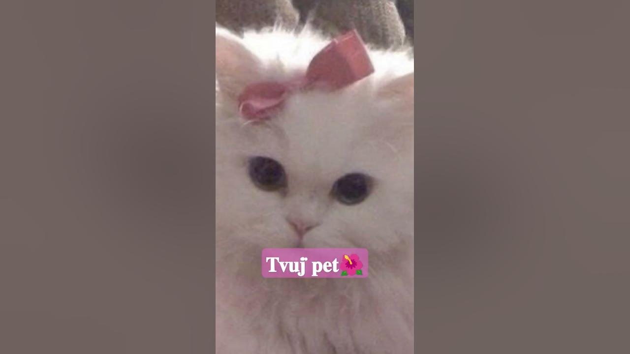 𝐙̌𝐢𝐯𝐨𝐭 𝐩𝐨𝐝𝐥𝐞 𝐩𝐢̄𝐬𝐦𝐞𝐧 𝐍🎀💕🌺💖💝 Name Cute Edit Pink Youtube