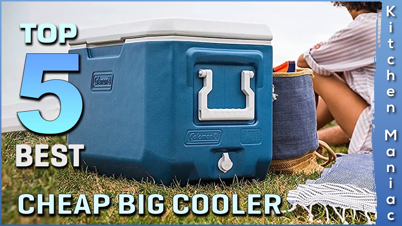 5 Best Cheap Big Cooler Review in 2025 - YouTube