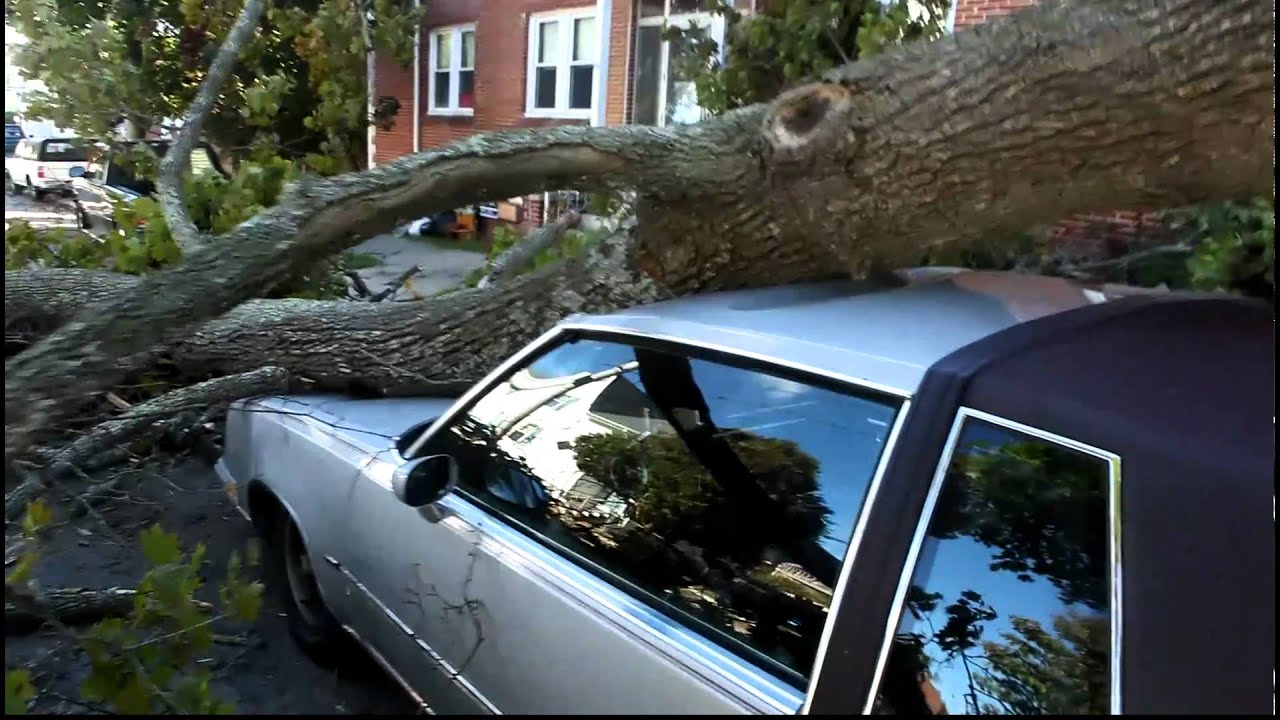 tree falls on car caused by heavy winds. - YouTube