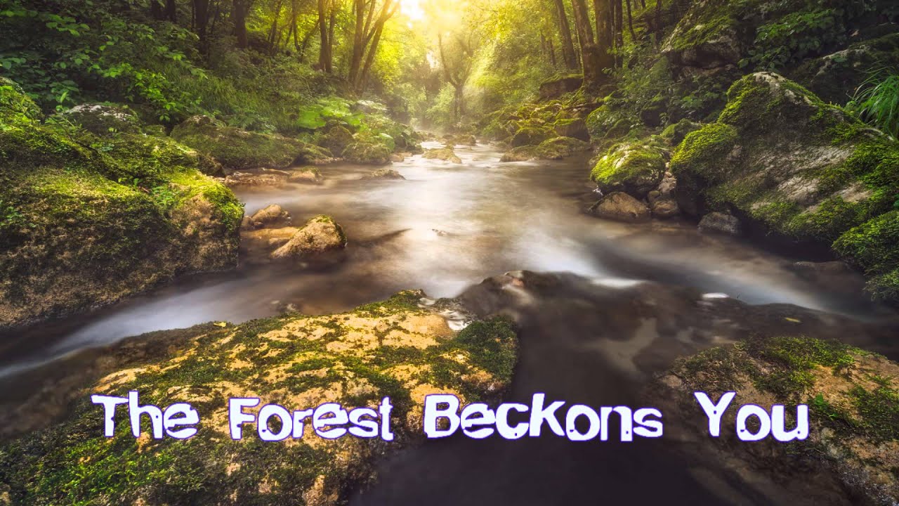 TeknoAXE's Royalty Free Music - The Forest Beckons You -- Suspense ...