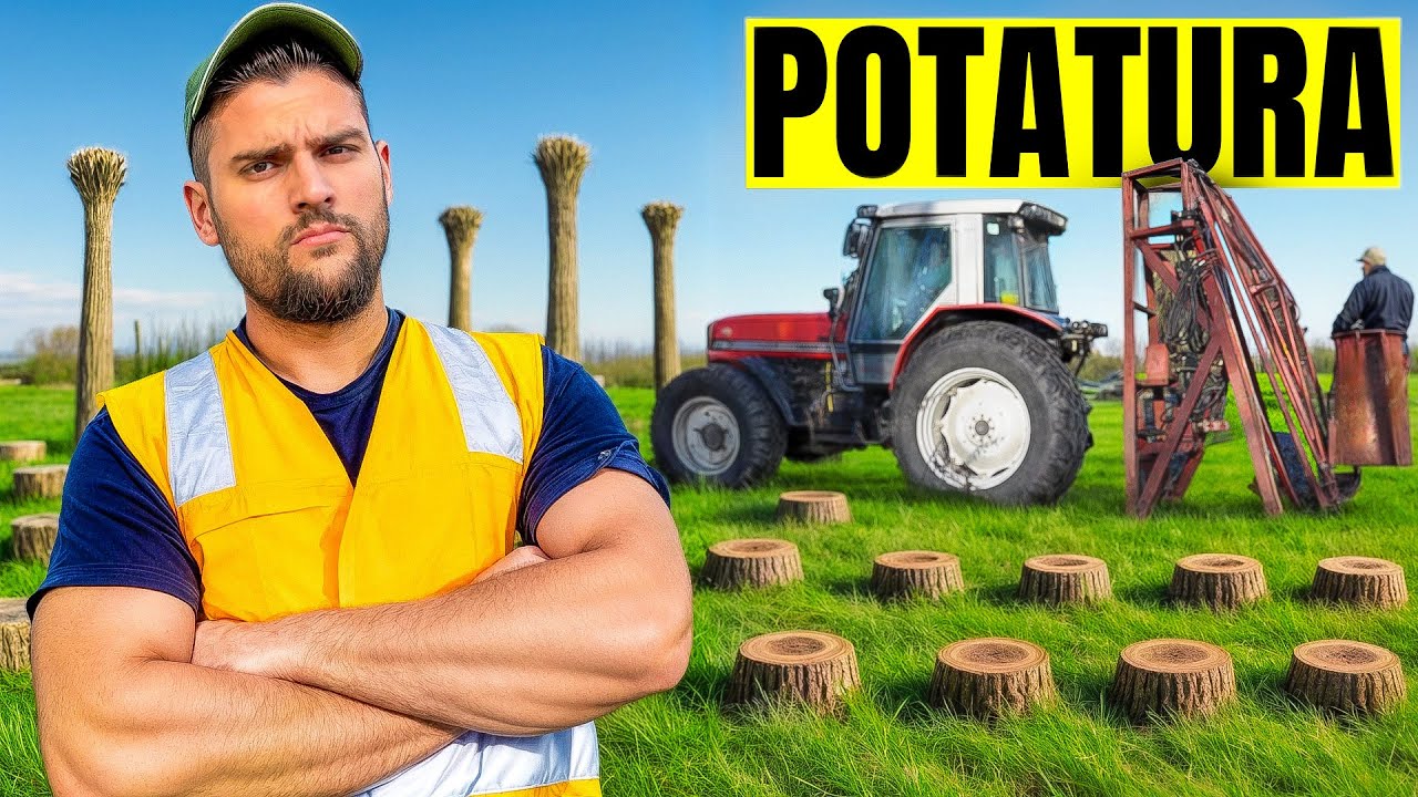 POTATURA PIOPPI | diamo una pulita alle piante con il cestello e il ...