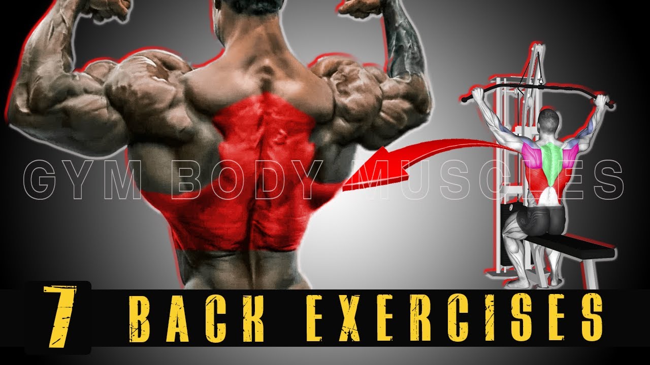 Complete Exercises for Wide Back in Gym | Workout for Wider Lat Muscle ...