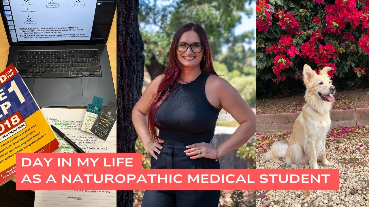 Day in the life of a Naturopathic Medical Student // San Diego, CA ...