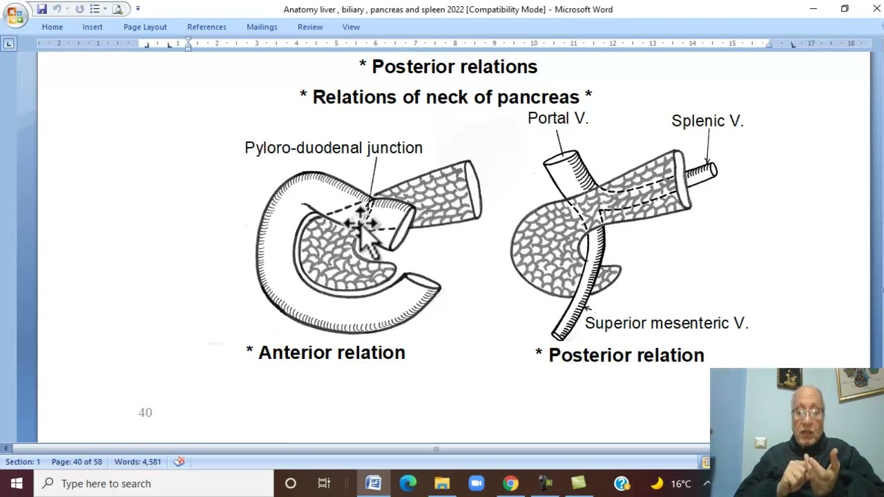 Anatomy GIT Module in Arabic 33 ( Pancreas , part 1 ) , by Dr, Wahdan ...