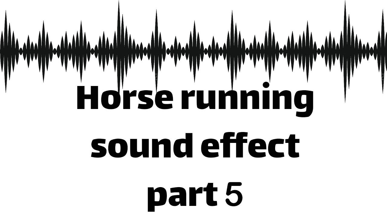 Horse running sound effect part 5 (no copyright) - YouTube