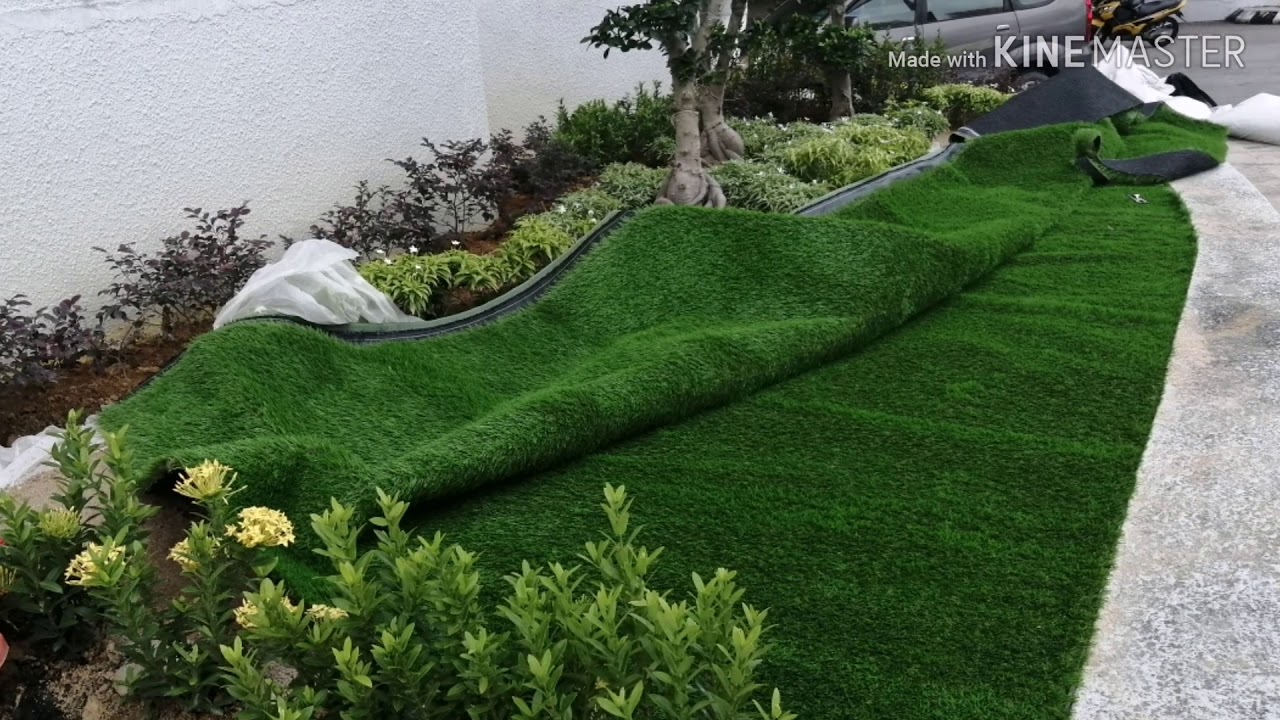 Memasang rumput tiruan ( sintetis ) | naiktaraf landskap - YouTube