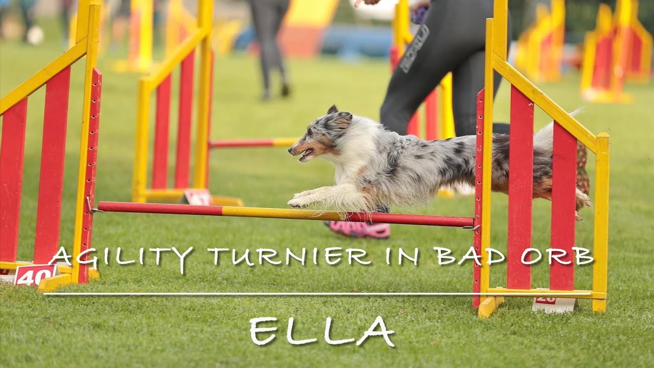 [Turnier] 21.-23.01.2022 Agility Turnier in Bad Orb - Ella - YouTube