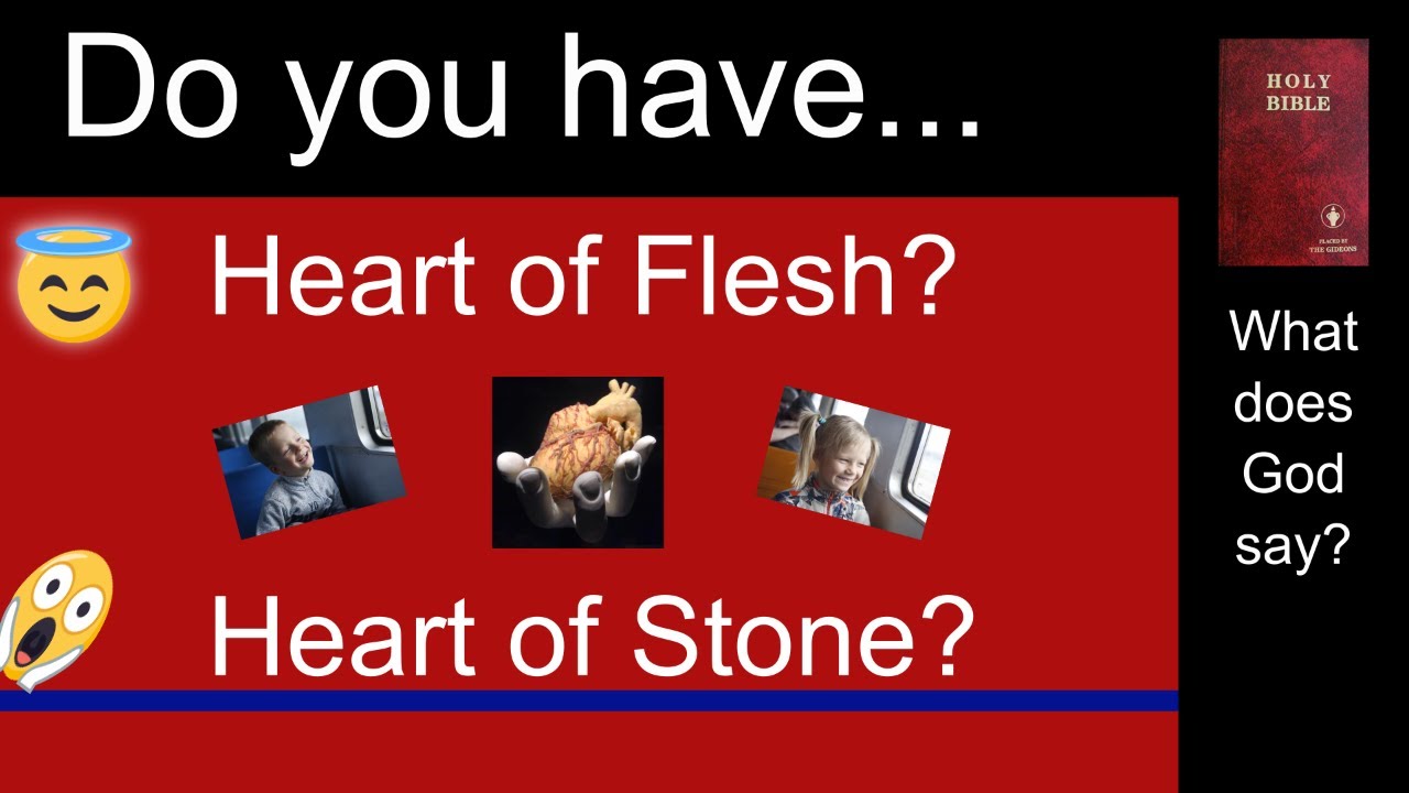 Signs of a Heart of Flesh, according to God - YouTube