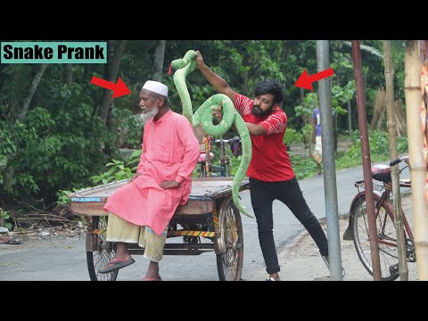 Snake Prank🐍King Cobra Snake Prank By Rk
