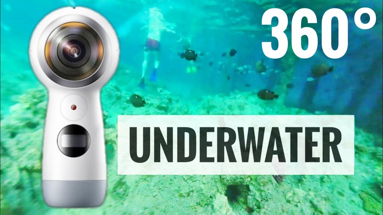 Snorkeling 360° video Underwater Diving Samsung Gear 360 VR 4K - YouTube