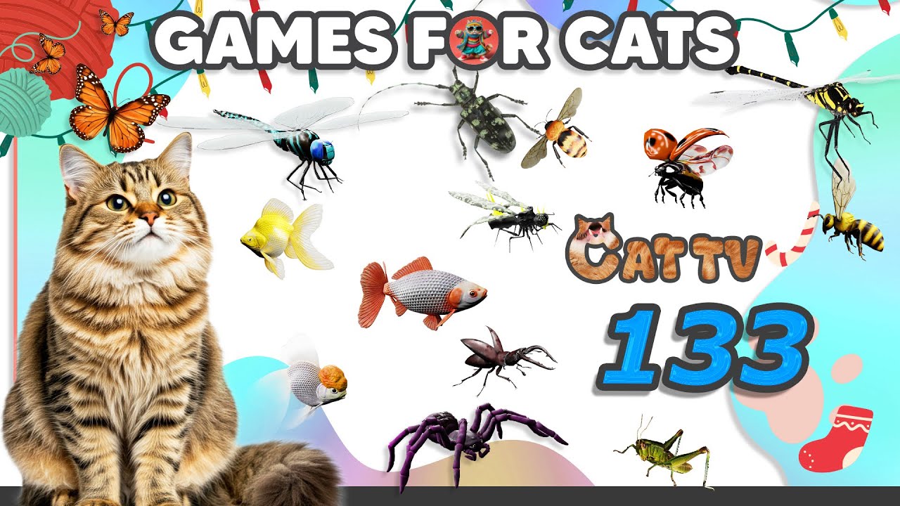 Cat Games | Ultimate Game For Cat Compilation Vol 133 | 6 HOUR 🐭🐝🐞🦋🦎 ...