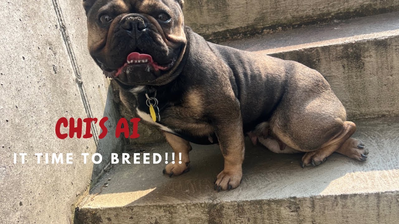 It’s Breeding Time!!! - YouTube