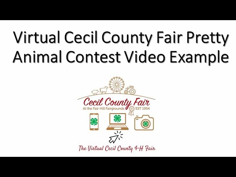 Pretty Animal Contest Video Example - YouTube