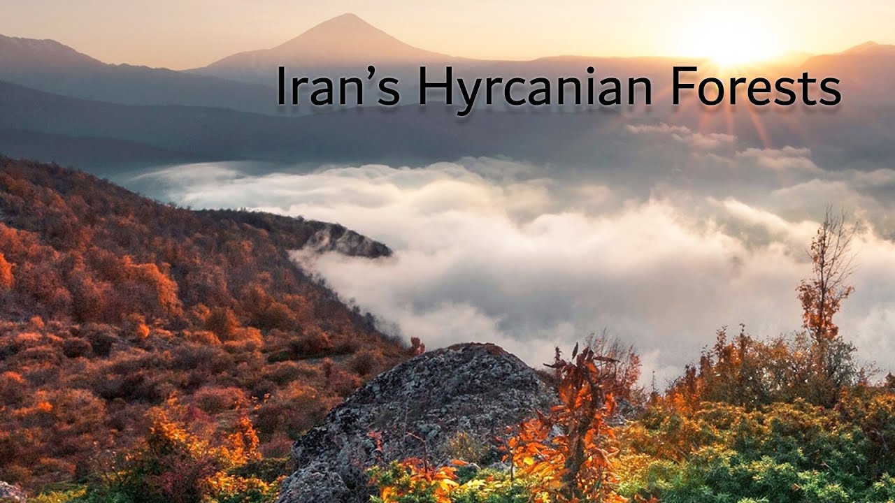 Iran’s Hyrcanian Forests in Autumn ,UNESCO World Heritage - YouTube