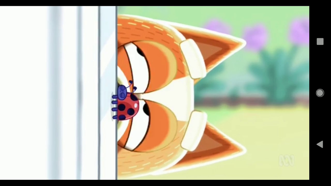 Poor little bug on the wall Bluey - YouTube