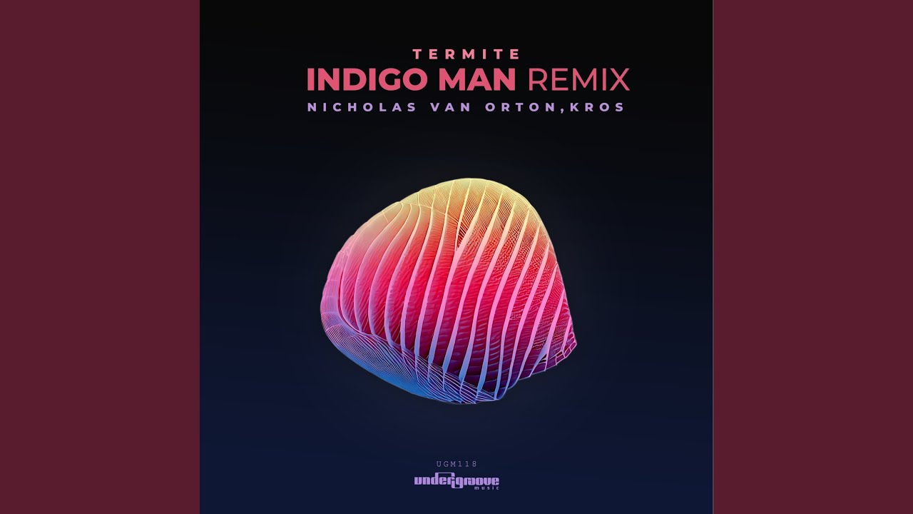 Termite (Indigo Man Remix) - YouTube