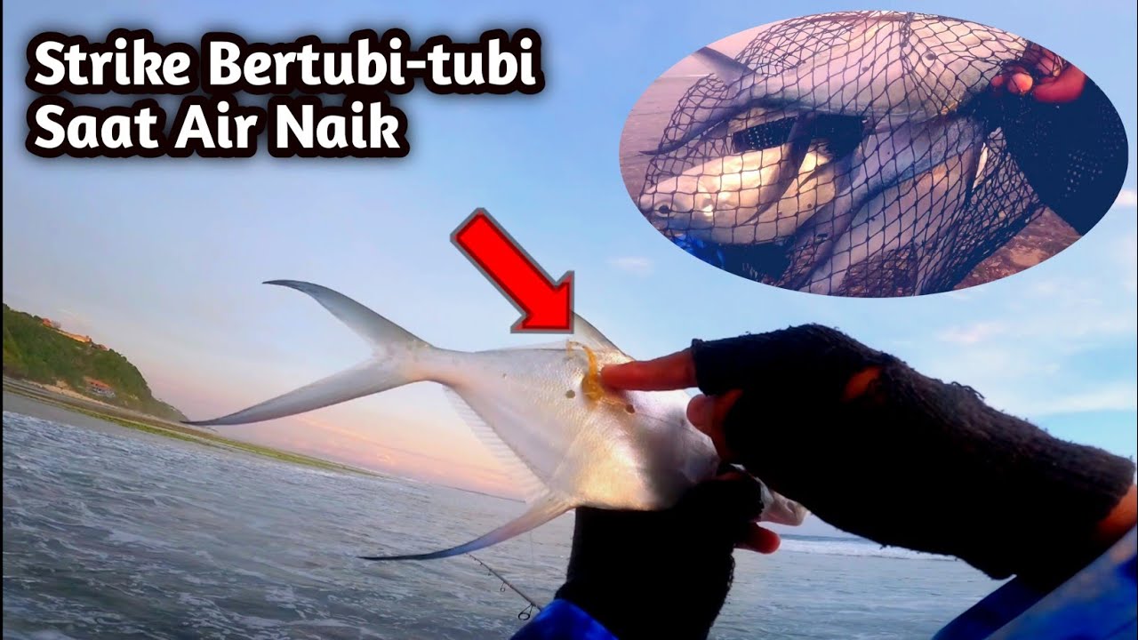Strike Bertubi-tubi Saat Air Mau Pasang Naik || Mancing di Bali ...