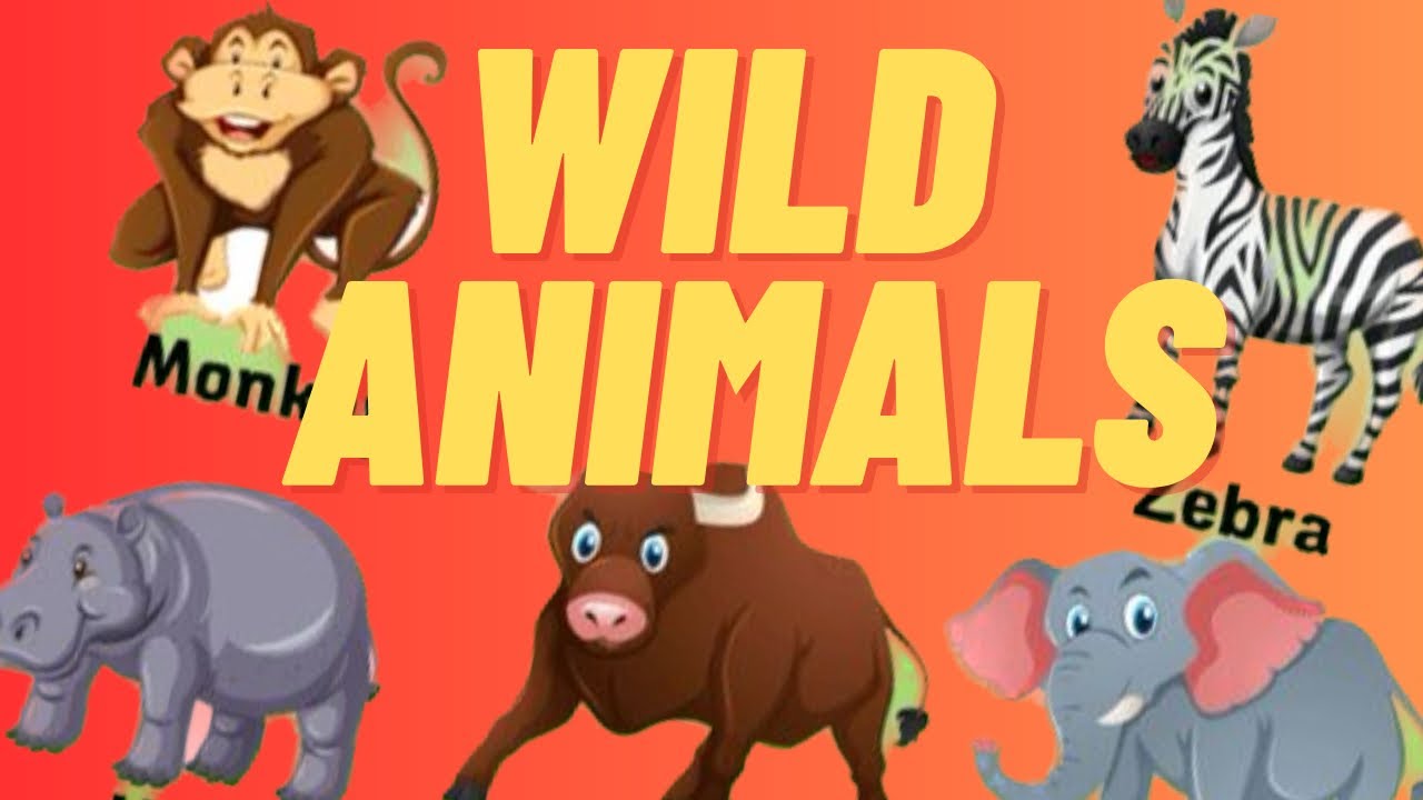 wild animals | vocabulary for kids | learn wild animals | educational ...