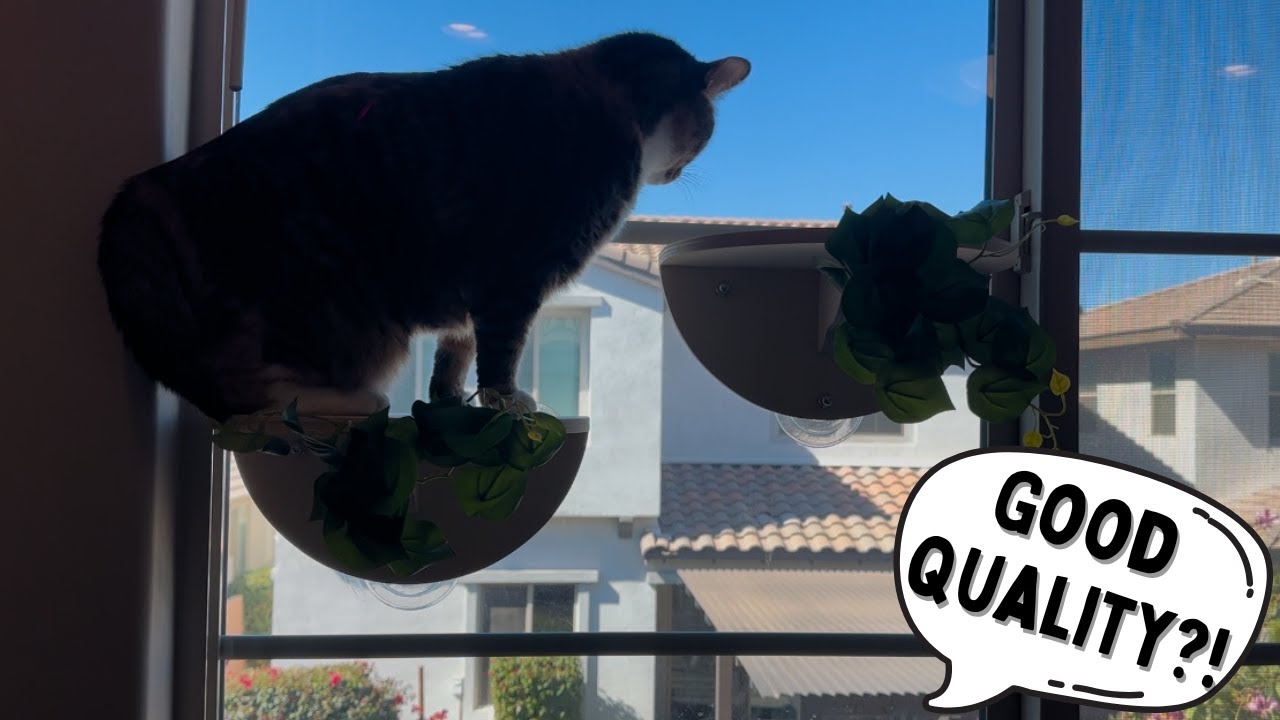 Meowoou 2PCS Cat Window Steps Cat Window Shelf Suction Cups Climbing ...