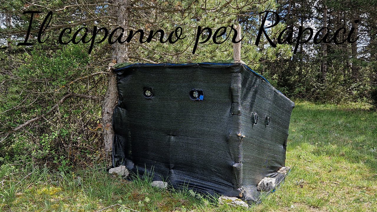 Fotografia Naturalistica - Il capanno per rapaci | Come avvicinare la ...