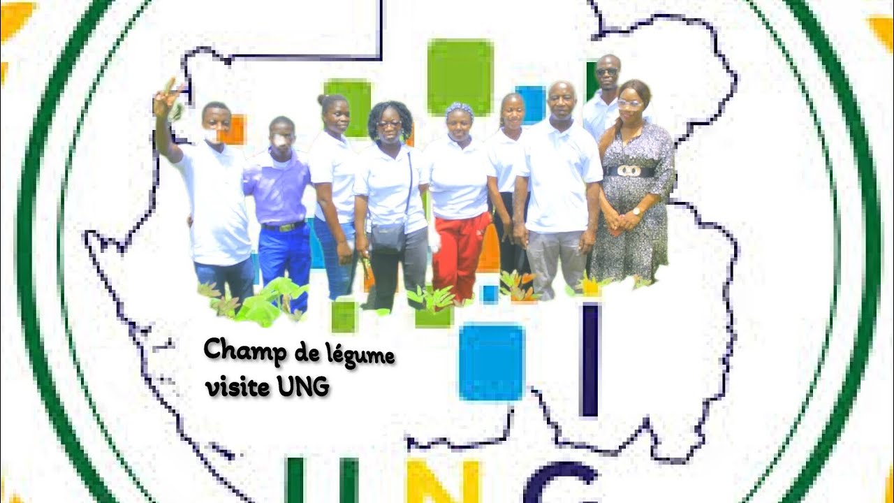 histoire de l'université numérique du Gabon # gabon - YouTube