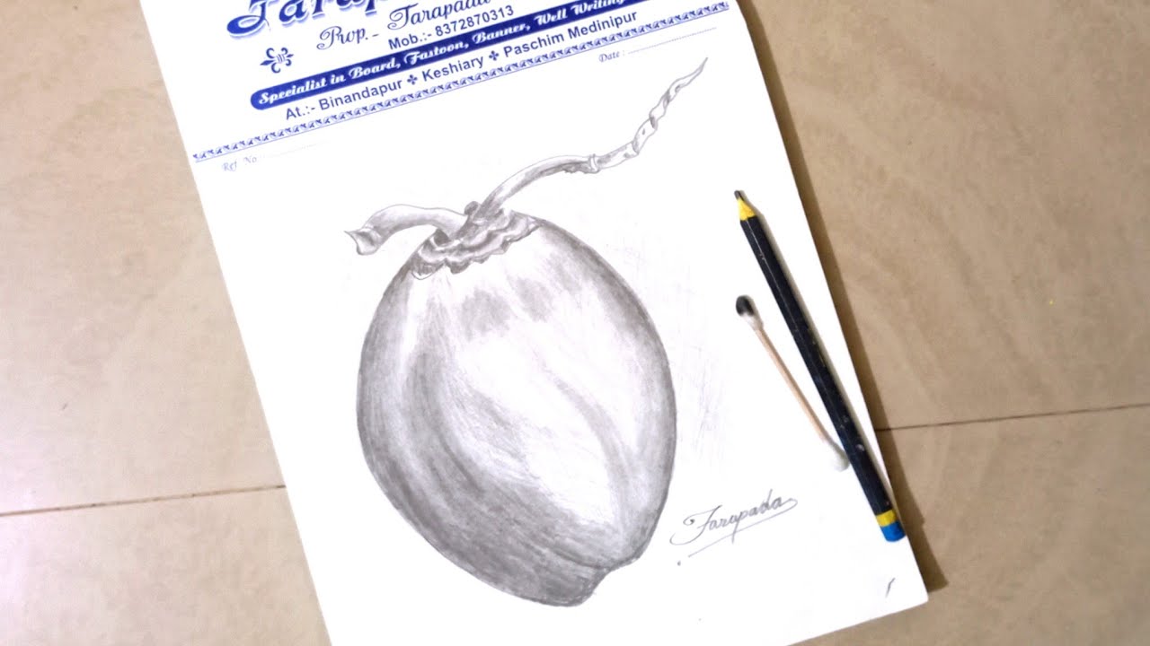 how to draw green coconut/coconut drowing /pencil sketch ️drowing - YouTube