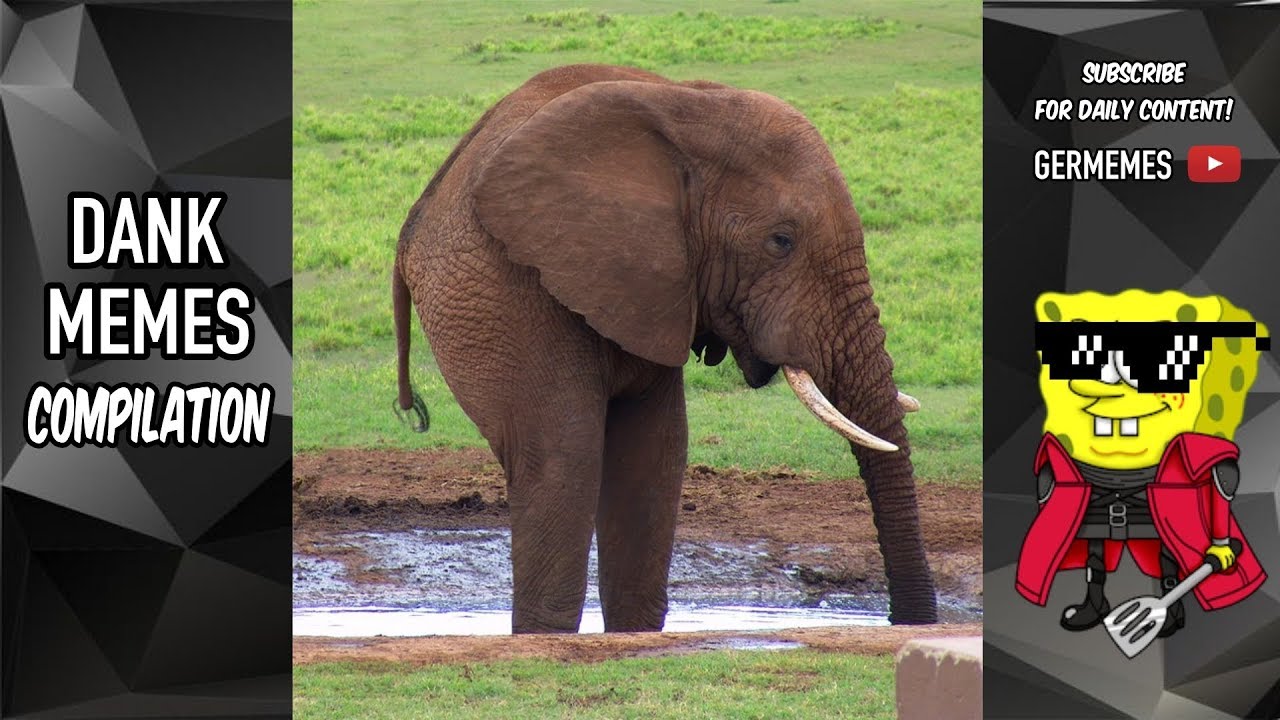 When Memes are too Dank 2017! V9 🔥 - YouTube